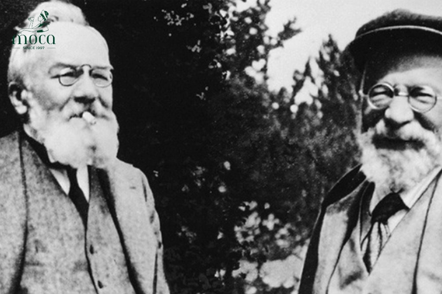 The History of the Michelin Guide: A Century of Culinary Excellence